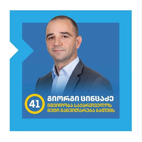 გიორგი ცინცაძის მხარდამჭერები