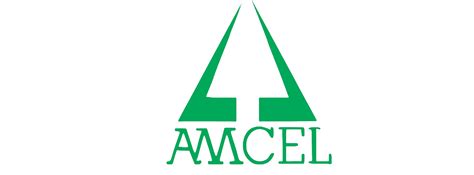 Amcel AmapÁ Florestal E Celulose S A