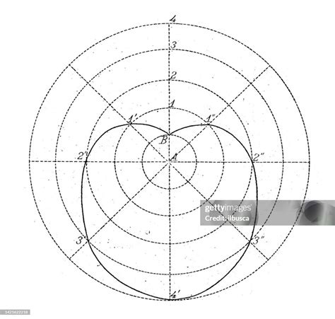 Antique Illustration Mathematics And Geometry Curves High Res Vector