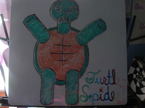 Turtle Spider By Alexhassole On Deviantart