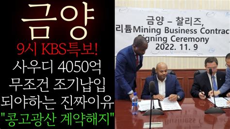🔵 금양 9시kbs특보 사우디 4050억 조기납입 무조건 되야하는 진짜이유 콩고광산 계약해지 넘어간다 정확하게 꿰뚫어 보셔야 합니다 반드시 이 내용 확인하시고