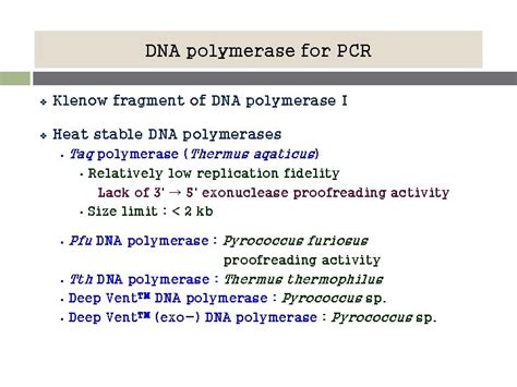 Polymerase Chain Reaction Pcr V Dna Primer Set