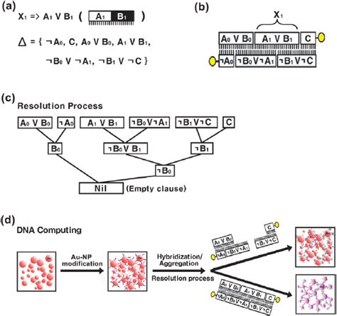 Schema Of The Proposed Dna Computing Process For Resolution Theorem Download Scientific Diagram
