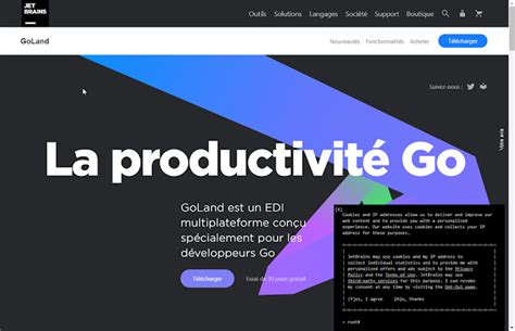 Outils De Développement Logiciel Cest Quoi Le Langage Go
