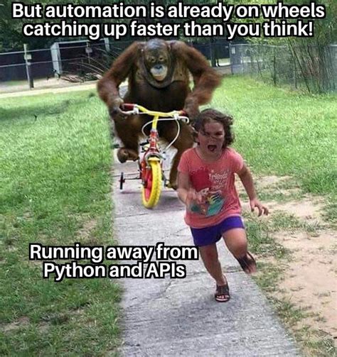 Python Api Networkautomation Automationexpert Networking Cisco