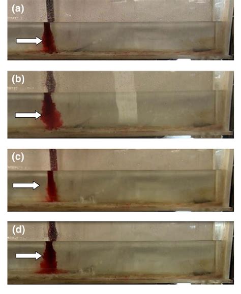 Evolution Of Tracer Mixing After 4s Of Tracer Injection A Case I Download Scientific