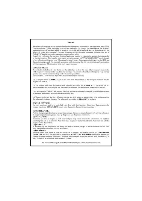 Solution Enzyme Worksheet 1 Exploring The Basics Of Enzymes And Their
