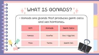 Constitutes Contributes An Individual Sex What Is Sexuality PDF