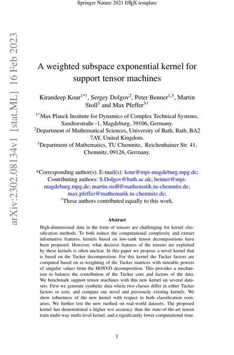 Pdf A Weighted Subspace Exponential Kernel For Support Tensor Machines