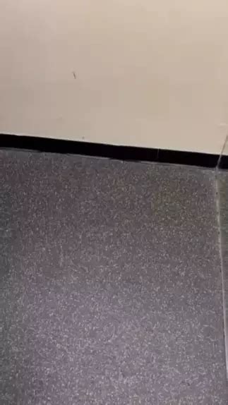 Learman Twins Candid Ass