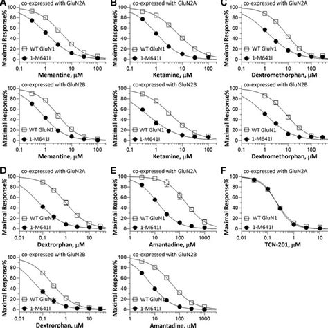 The Effect Of Nmdar Antagonists Including Fda‐approved Drugs On The Download Scientific