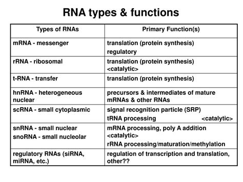 PPT RNA Functions Structure And Phylogenetics PowerPoint