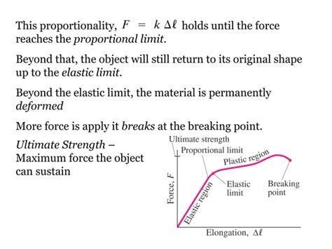 14 Static Equilibrium And Elasticity PPT
