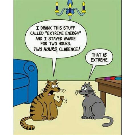 Pin By Kimberly On Cattin Around Cat Jokes Funny Cat Memes Cartoon