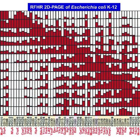 Growth Phase Dependent Expression Patterns Of A Total Of 65