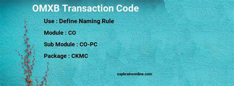 Omxb Sap Tcode For Define Naming Rule