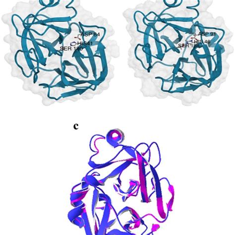 A The Overall 3d Crystal Structure Of Trypsin From Fusarium Oxysporum Download Scientific