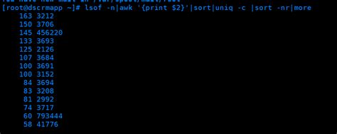 【linux】查看某个进程pid对应的文件句柄数量，查看某个进程当前使用的文件句柄数量 Angel挤一挤 博客园