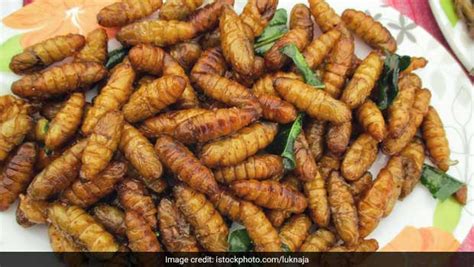 This Will Give You The Creeps 12 Most Weird Foods People Actually Eat