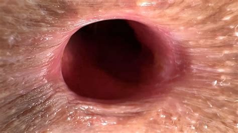 Free Reel Porn Videos XHamster Free Reel Porn Videos XHamster