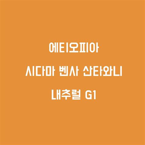 수박 맛이 나는 커피