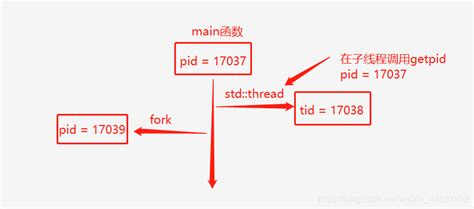 C——并发基础tid、pidc Pid Csdn博客