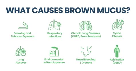 Why Is My Mucus Brown