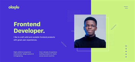 25 Web Developer Portfolio Examples From Top Developers