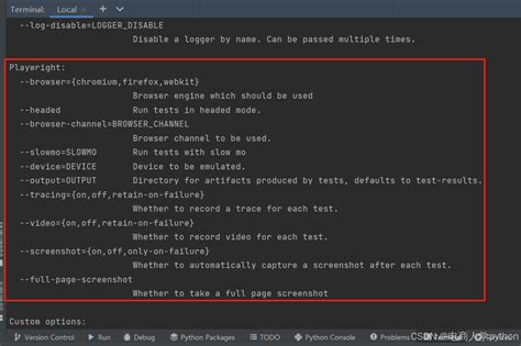 Python写ui自动化 Playwrighti配置pytest Playwright插件如何使用 Csdn博客