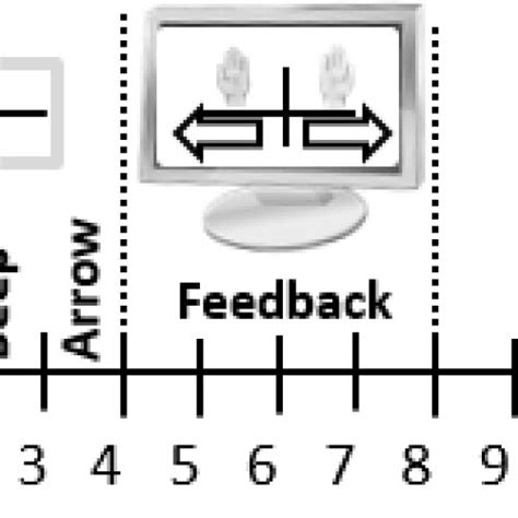 Scheme Of Bci Paradigm Applied Download Scientific Diagram
