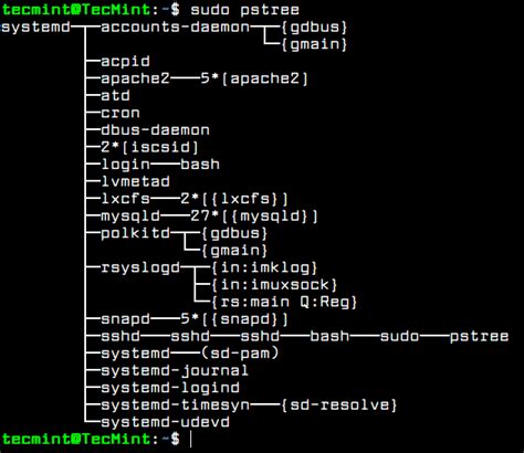 Installation Of Ubuntu 1604 Server Edition And Initial Ubuntu Server