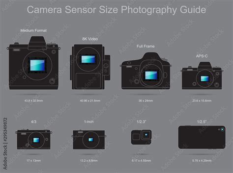 Camera Sensor Size Photography Guide Stock Vector Adobe Stock
