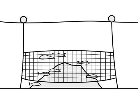 A Massive Victory For Recreational Fishing Commercial Gill Netting Has