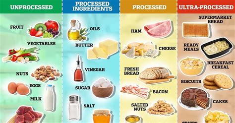 50 Questions Healthy Eating For Different Lifestyles And Preferences