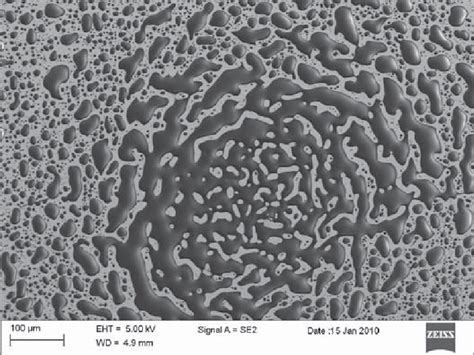 Sem Micrograph Qcm Impacted Soa 950x Following The Deposition Download Scientific Diagram