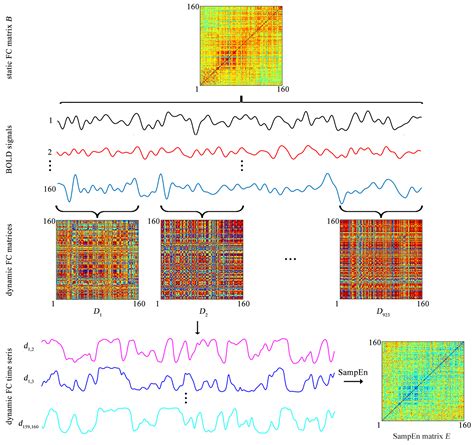 Sample Entropy Combined With The K Means Clustering Algorithm Reveals