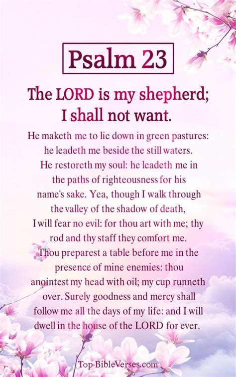 Psalm 23 Bible Verse Images Psalm 231 6 Bible Verse Pictures Pink