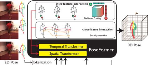 Table 1 From Crossformer Cross Spatio Temporal Transformer For 3d Human Pose Estimation