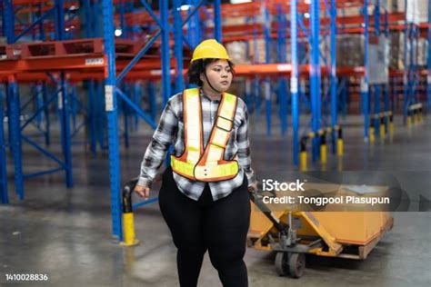 노동자는 창고 선반의 높은 수준과 주위에 큰 창고에 상품을 배포 과체중에 대한 스톡 사진 및 기타 이미지 과체중 아시아인 팔레트 트럭 Istock