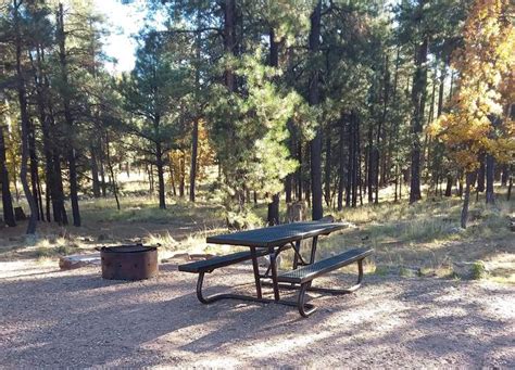 Site 1 Woods Canyon Lake Group