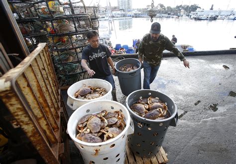 Dungeness Crab 2019 Where To Buy In Bay Area Now Or Soon