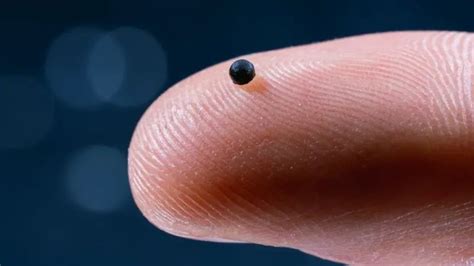 Groundbreaking ‘microcapsule Robot Promises Drug Delivery Without Side Effects Times Kuwait