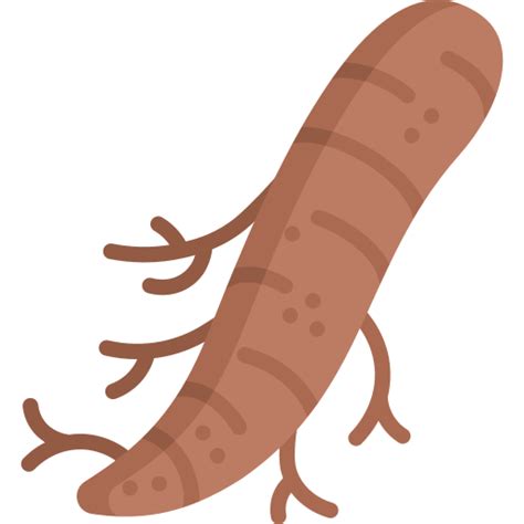 Arrowroot Special Flat Icon