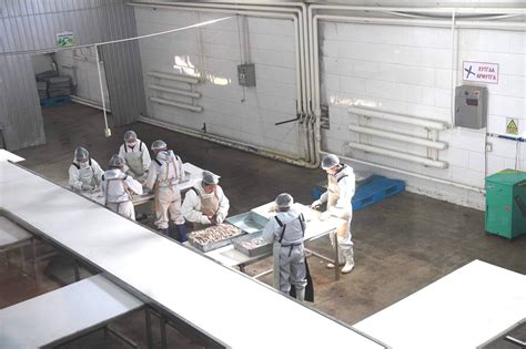 Натурал грийн фүүдс компанийн махны үйлдвэрийн тусгай зөвшөөрлийг цуцална E Mn