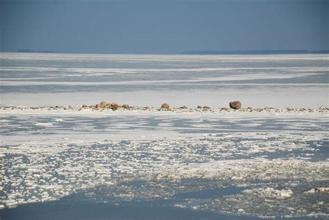 Sea Winter Snow - Free photo on Pixabay - Pixabay