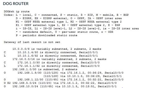 Build A Network Topology That Matches The Routing Chegg