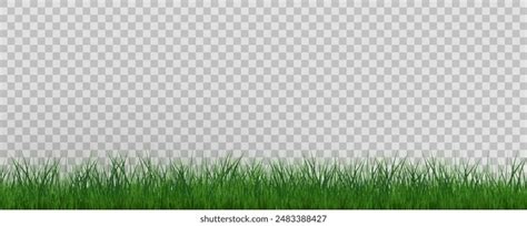 Grass Border Vector Illustration Vector Grass Stock Vector Royalty