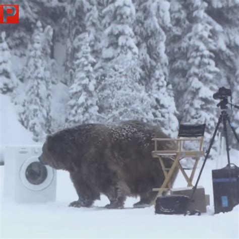 Extreme Hunting Solutions Home