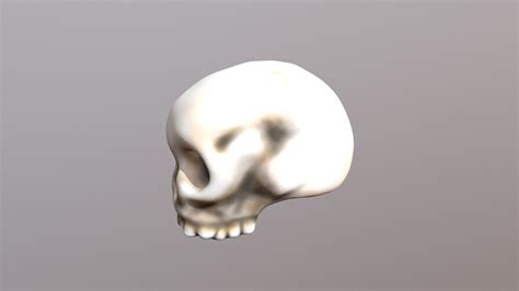 Scull 3d Model By Grimmgork [25e03f1] Sketchfab