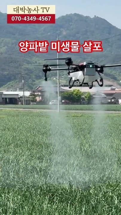 농업용드론 60리터급 Af Fx로 양파에 미생물제제 살포하기 방제드론 방제입문 농업용드론 Youtube
